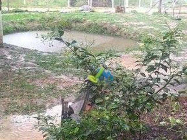 Chácara para venda em Mandirituba