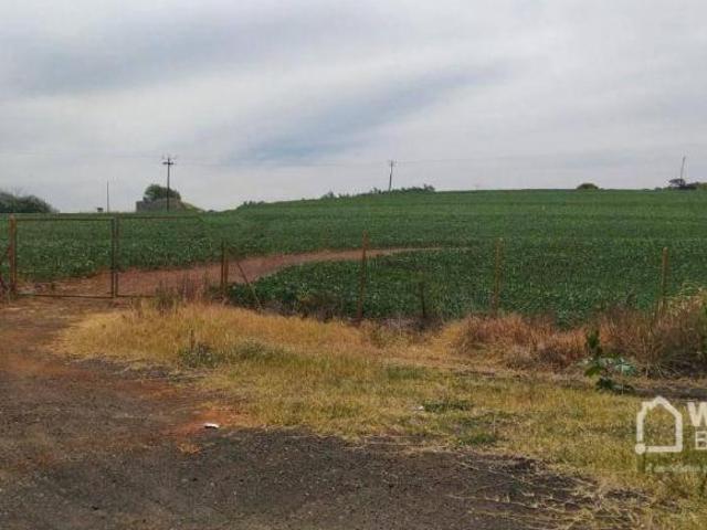 Chácara para venda em Maringá