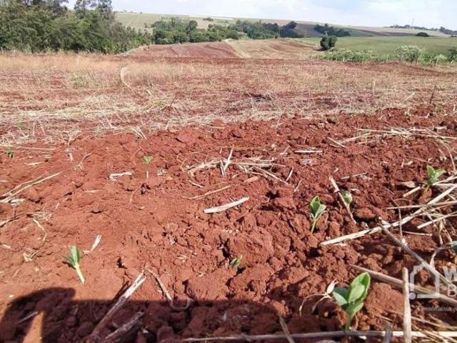 Chácara para venda em Maringá