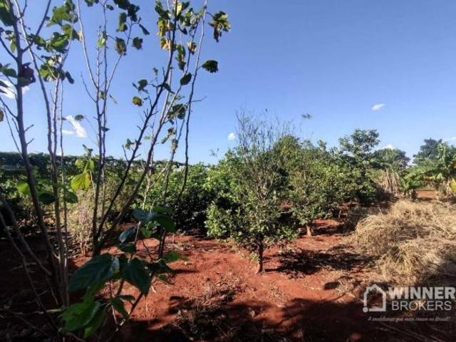 Chácara para venda em Maringá