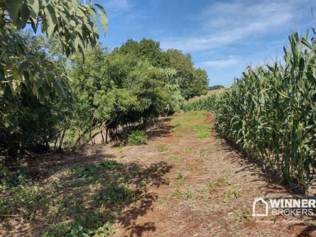Chácara para venda em Marialva