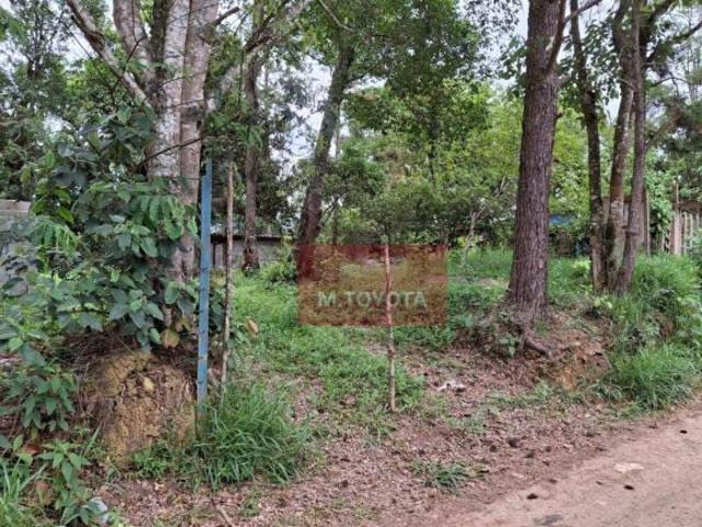 Chácara para venda em Marmelo de 300.00m² com 2 Quartos e 7 Garagens