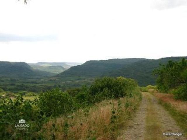 Chácara para venda em Nova Bréscia