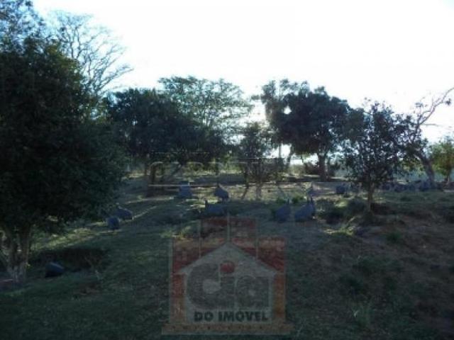 Chácara para venda em Novo Ribeirao de 150.00m² com 3 Quartos e 1 Suite