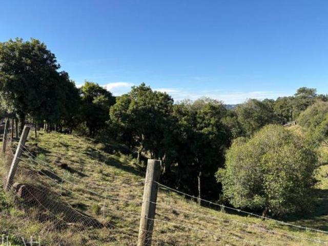 Chácara para venda em São Ciro, Caxias do Sul