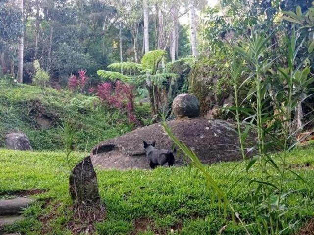 Chácara para venda em São Francisco Xavier, São José dos Cam