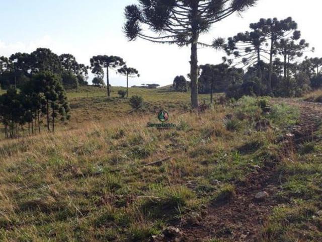 Sítio para venda em São Francisco de Paula