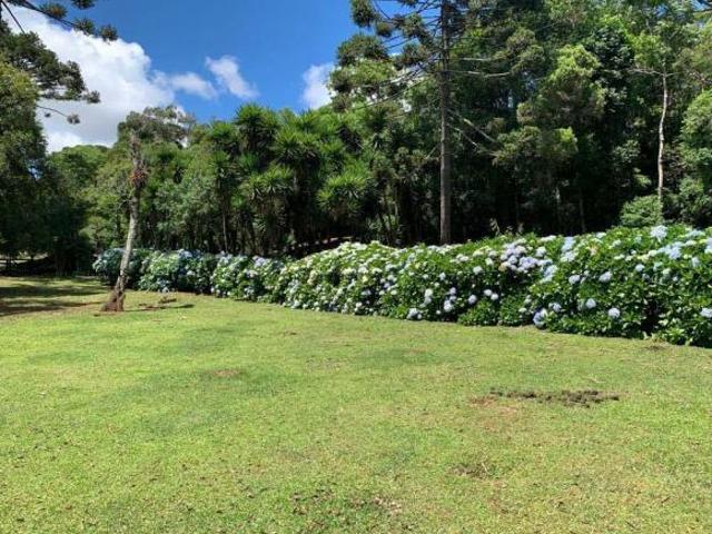Chácara para Venda em São José dos Pinhais, Campestre da Faxina, 5 dormitórios, 4 banheiros, 10 vaga