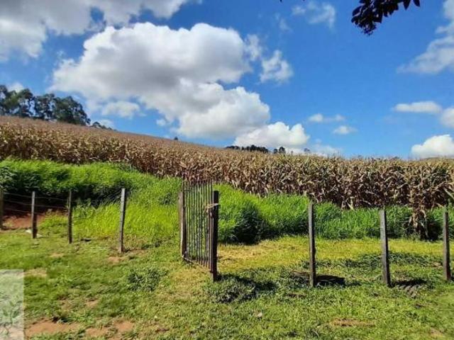Chácara para Venda em Socorro, 4 dormitórios, 2 suítes, 3 banheiros, 6 vagas