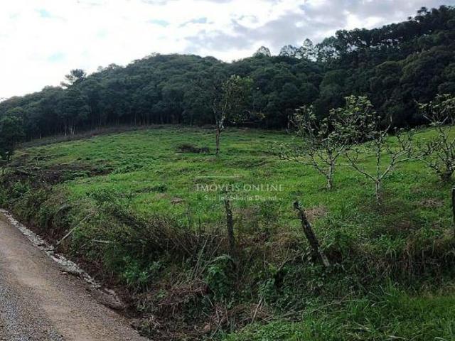 Chácara para venda em Salgado Filho, Caxias do Sul
