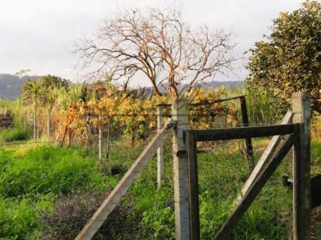 Chácara para venda em Santa Cruz do Sul