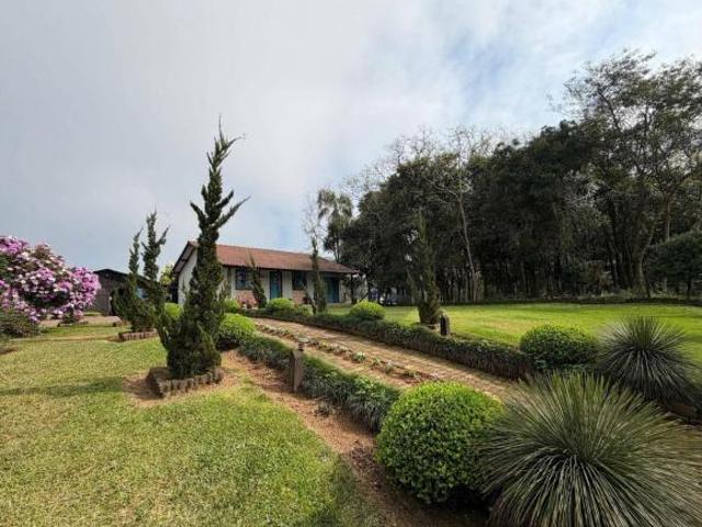 Chácara para venda em Santa Cruz do Sul