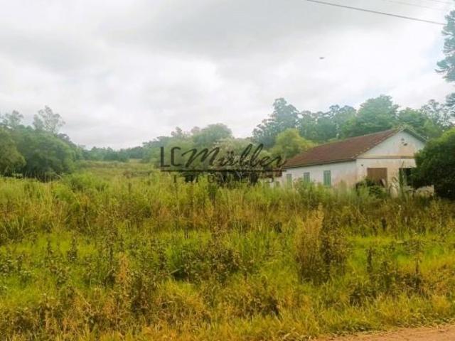 Chácara para venda em Santa Cruz do Sul
