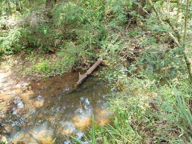 Chácara para venda em Santa Cruz do Sul