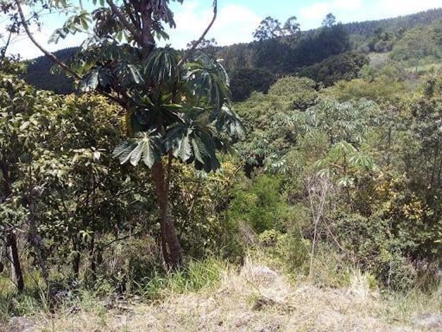 Chácara para venda em Santa Branca
