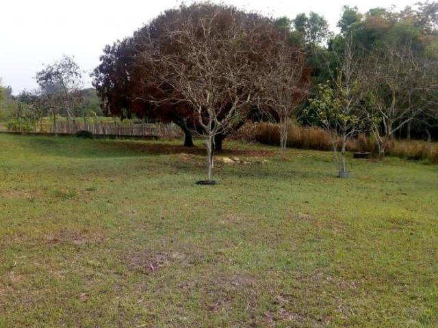 Chácara para venda em Santa Edwiges Ribeirão das Mortes, P