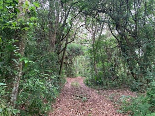 Sítio para venda em Santa Isabel, Viamão