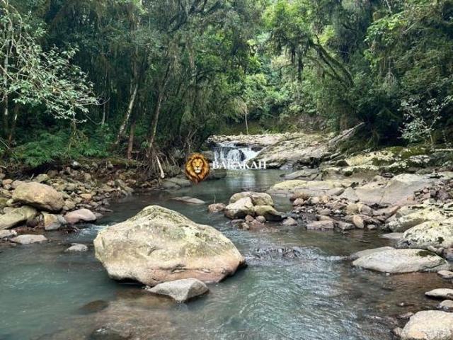 Chácara para venda em Santa Lúcia do Piaí, Caxias do Sul
