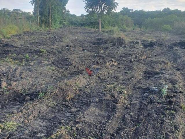 Chácara para venda em Santa Terezinha de 7900.00m² com 1 Quarto