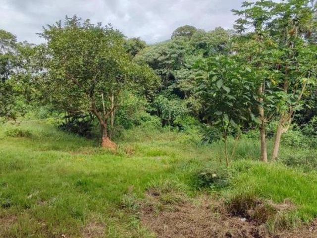 Chácara para venda em Sítio da Moenda, Itatiba
