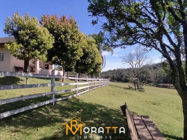 Chácara para venda em Sitio Santa Ana, Campo Largo
