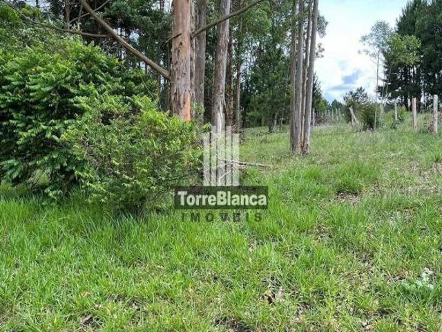 Chácara para venda em Ponta Grossa