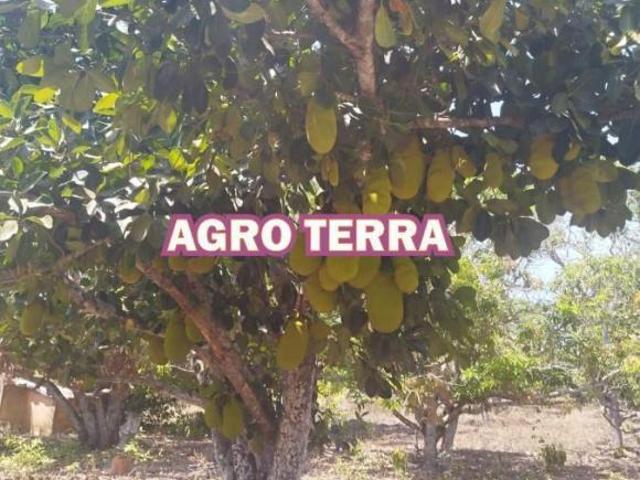Chácara para venda em Ponte Alta Norte Gama, Brasília