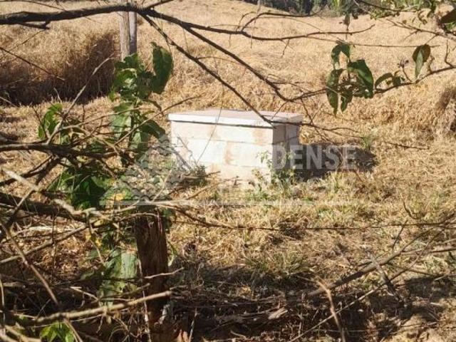 Chácara para venda em Palmeiral, Botelhos