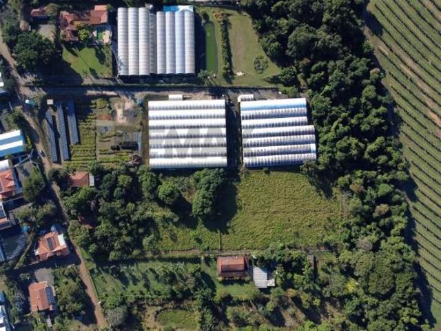 Chácara para venda em Palmeirinha de 5978.44m² com 1 Quarto e 4 Garagens