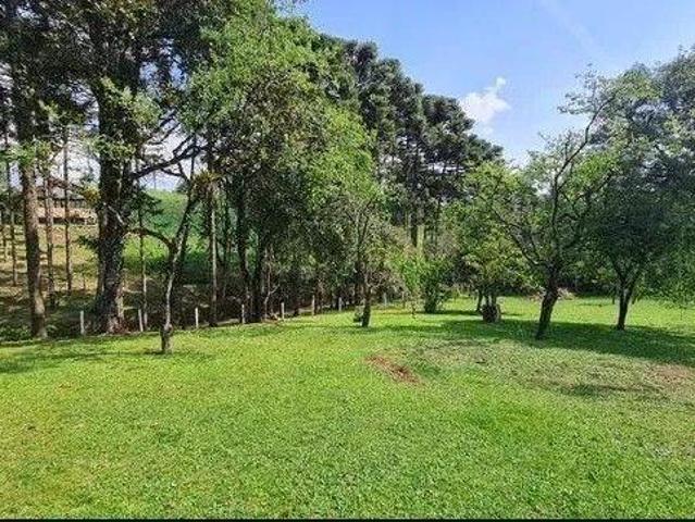 Chácara para venda em Palmitalzinho de 150000.00m² com 6 Quartos e 9 Garagens