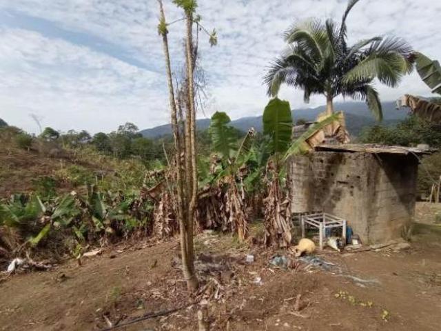 Chácara para Venda em Pedro de Toledo, Três Marias, 2 dormitórios, 1 banheiro