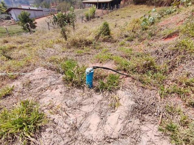 Chácara para Venda em Pedra Bela, Área Rural de Pedra Bela