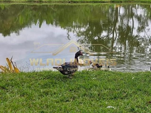Chácara para venda em Penha, Bragança Paulista