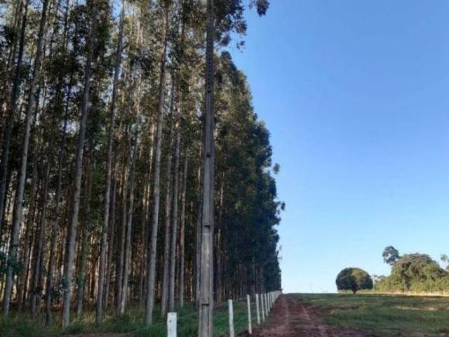 Chácara para venda em Perobal