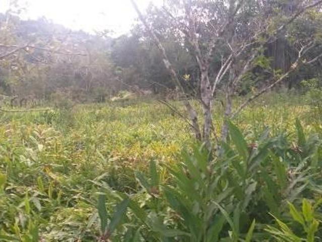 Chácara para Venda em Peruíbe, 2 dormitórios, 1 banheiro, 5 vagas