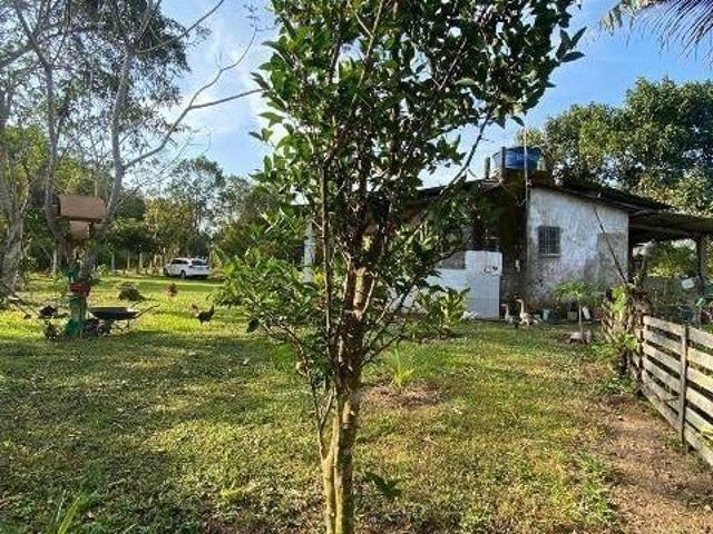 Chácara para Venda em Peruíbe, Armando Cunha, 2 dormitórios, 1 banheiro