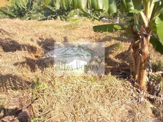 Chácara para Venda em Pinhalzinho, 1 dormitório, 1 banheiro