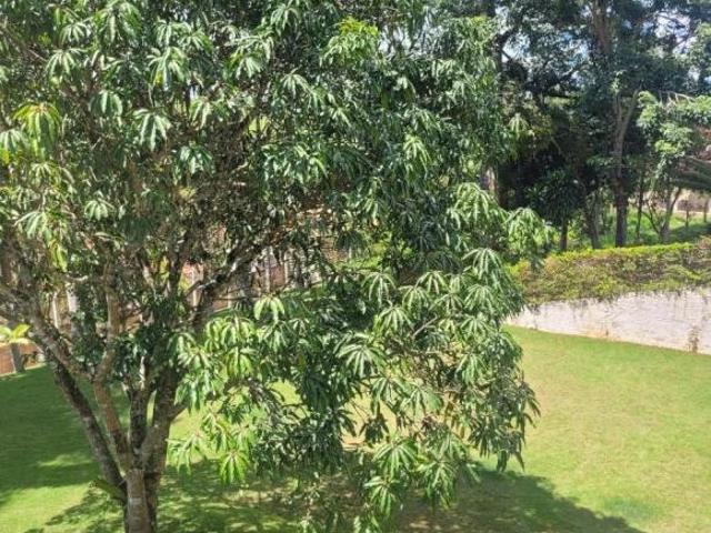Chácara para Venda em Pinhalzinho, 2 dormitórios, 1 suíte, 4 banheiros, 8 vagas