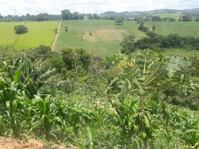 Chácara para venda em Pinhalzinho