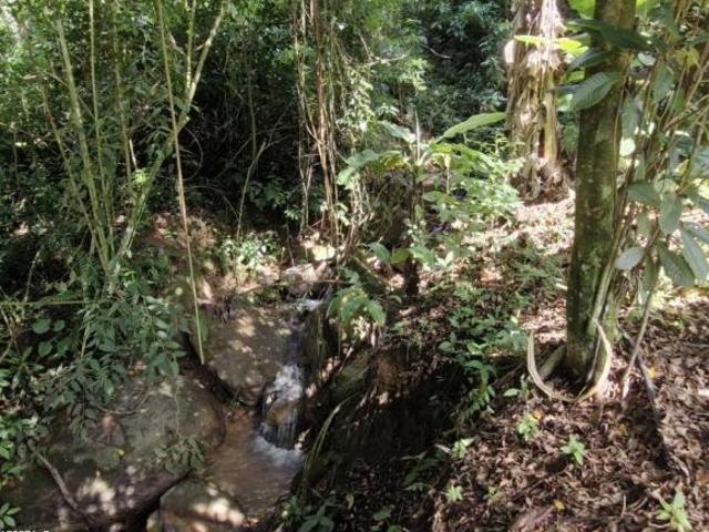 Chácara para Venda em Pinhalzinho, Bairro da Fazenda Velha, 1 dormitório, 2 banheiros