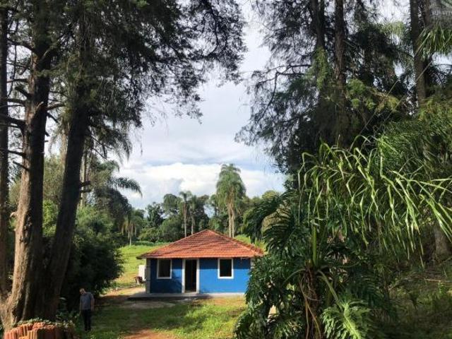 Chácara para Venda em Pinhalzinho, ZONA RURAL, 3 dormitórios, 1 banheiro, 3 vagas