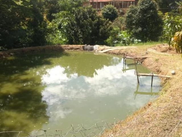 Chácara para Venda em Pinhalzinho, ZONA RURAL, 3 dormitórios, 1 banheiro, 6 vagas