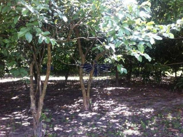 Chácara para venda em Piracicaba