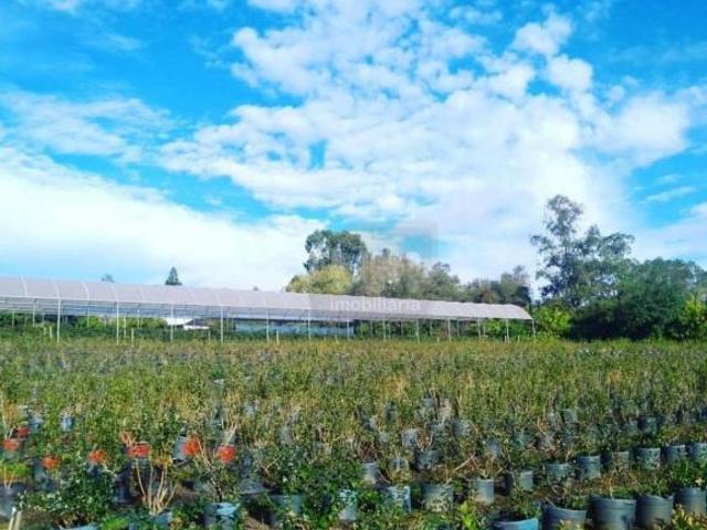 Chácara para venda em Piracicaba