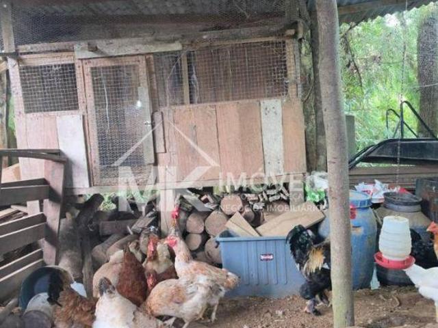 Chácara para venda em Piraquara