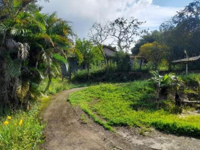 Chácara para venda em Progresso Casa Nossa Conceição de Ita