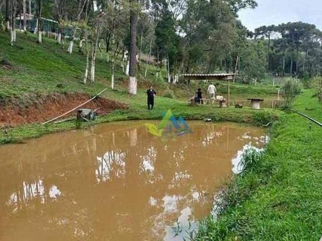 Chácara para venda em Quitandinha