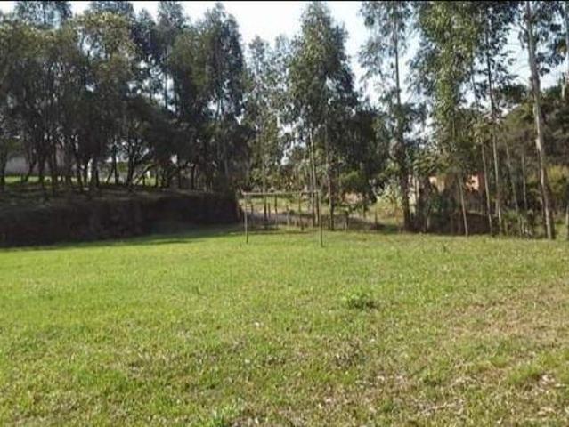 Chácara para Venda em Quitandinha, Rio da Várzea