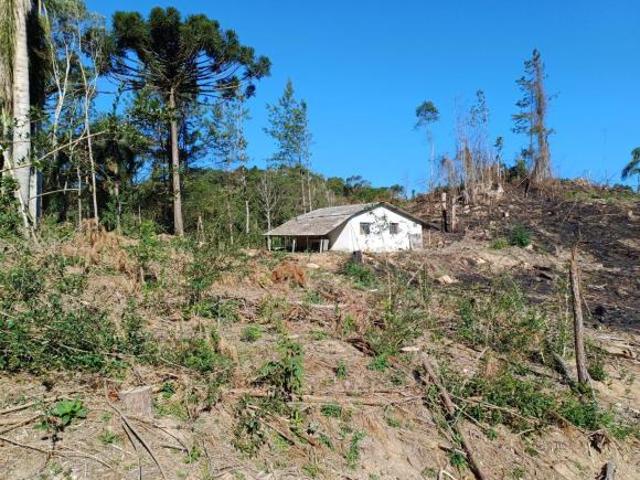 Chácara para Venda em Rocinha Mandirituba PR