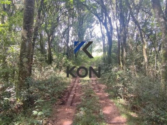 Chácara para venda em Rondinha, Campo Largo